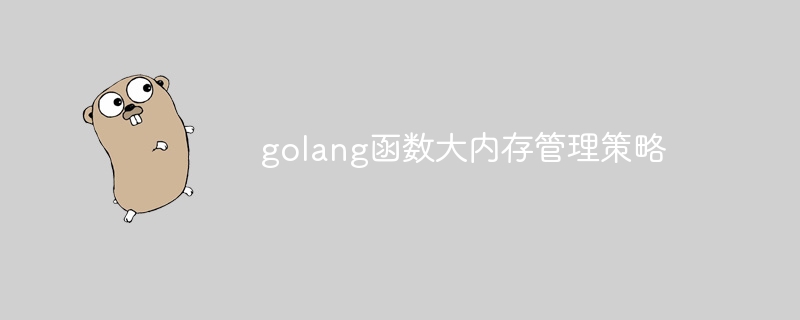 Golang函數大記憶體管理策略 Golang Php中文網