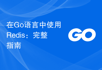Using Redis in Go: A Complete Guide-Golang-php.cn