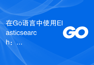 Using Elasticsearch in Go: A Complete Guide-Golang-php.cn