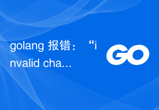 golang error: 'invalid character...' How to solve it?-Golang-php.cn