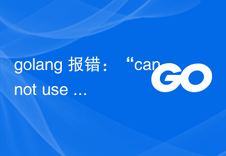 golang 報錯：「cannot use x (type y) as type z in field value…」 如何解決？-Golang-PHP中文網