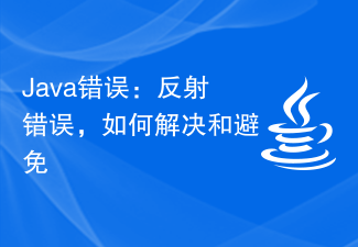 Java Error: Reflection Error, How to Fix and Avoid-javaTutorial-php.cn