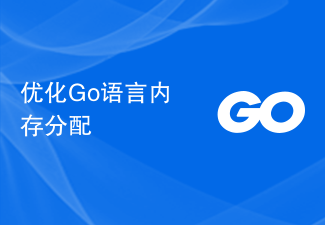 Optimize Go language memory allocation-Golang-php.cn