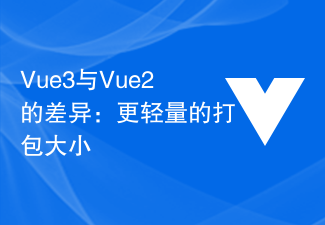 Vue3與Vue2的差異：更輕量的打包大小-Vue.js-PHP中文網