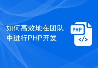 How to efficiently develop PHP on a team-PHP Tutorial-php.cn