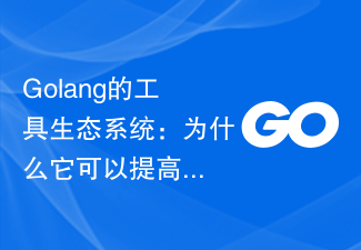Golang's Tool Ecosystem: Why It Improves Development Productivity?-Golang-php.cn