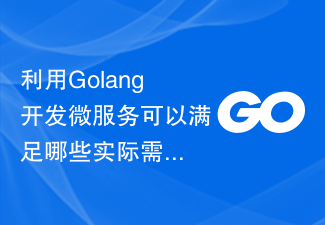 What practical needs can be met by using Golang to develop microservices?-Golang-php.cn