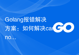 Golang error solution: How to solve the cannot assign to error-Golang-php.cn