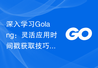 Learn Golang in depth: Flexible application of timestamp acquisition techniques-Golang-php.cn