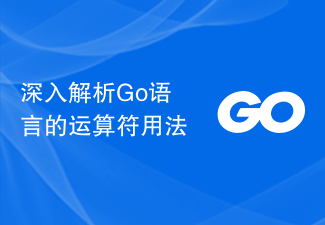 In-depth analysis of operator usage in Go language-Golang-php.cn