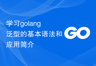Learn the basic syntax and application introduction of golang generics-Golang-php.cn