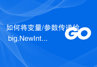 How to pass variables/parameters to big.NewInt()-Golang-php.cn