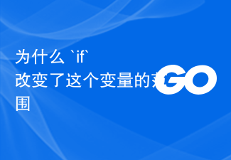Why does `if` change the scope of this variable?-Golang-php.cn