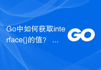 How to get the value of interface{} in Go? (Interface conversion: interface{} is Resp, not ...