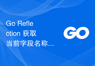 Go Reflection 取得目前欄位名稱，但在類型不符的非類型字串上出現錯誤-Golang-PHP中文網
