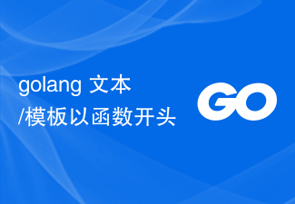 golang text/template starts with function-Golang-php.cn