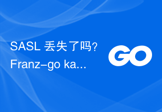 Is SASL lost? Franz-go kafka authentication issue-Golang-php.cn