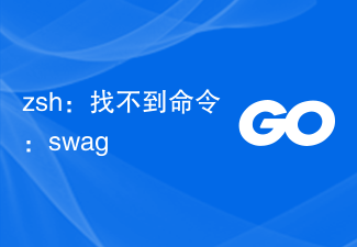 zsh: command not found: swag-Golang-php.cn