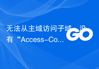 Unable to access subdomain from main domain: No 'Access-Control-Allow-Origin'-Golang-php.cn