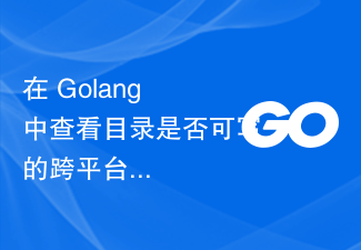 Cross-platform way to check if a directory is writable in Golang?-Golang-php.cn