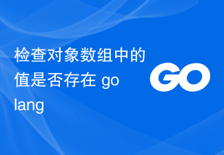Check if value in object array exists golang-Golang-php.cn