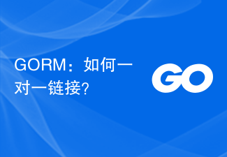 GORM：如何一对一链接？-Golang-PHP中文网