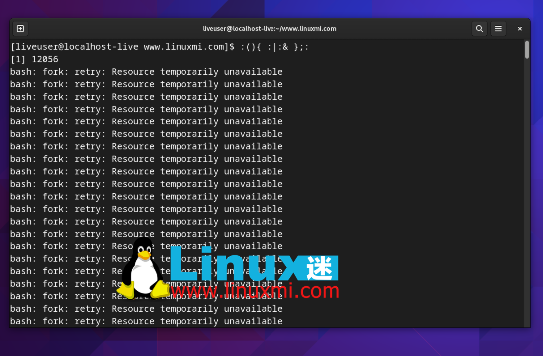 7 Commands That Dont Work On Linux And Why You Need To Know Linux Php Cn
