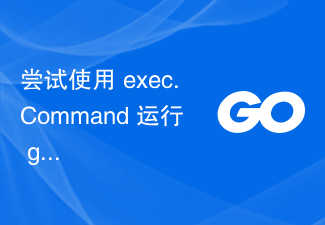 嘗試使用 exec.Command 執行 gofmt -r 時出現「符文文字未終止」錯誤-Golang-PHP中文網