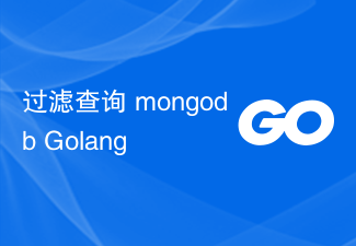 過濾查詢 mongodb Golang-Golang-PHP中文網