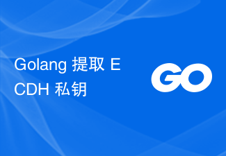 Golang extracts ECDH private key-Golang-php.cn