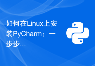 How to install PyCharm on Linux: a step-by-step guide-Python Tutorial-php.cn