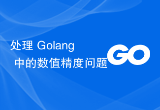 Handling numerical precision issues in Golang-Golang-php.cn