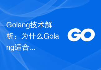 Golang technical analysis: Why Golang is suitable for website development-Golang-php.cn