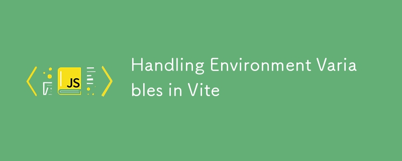 Handling Environment Variables in Vite-JS Tutorial-php.cn