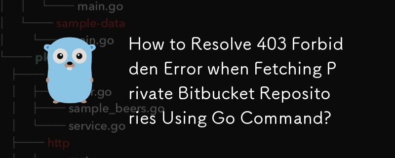 使用Go指令取得私有Bitbucket儲存庫時如何解決403 Forbidden錯誤？-Golang-PHP中文網