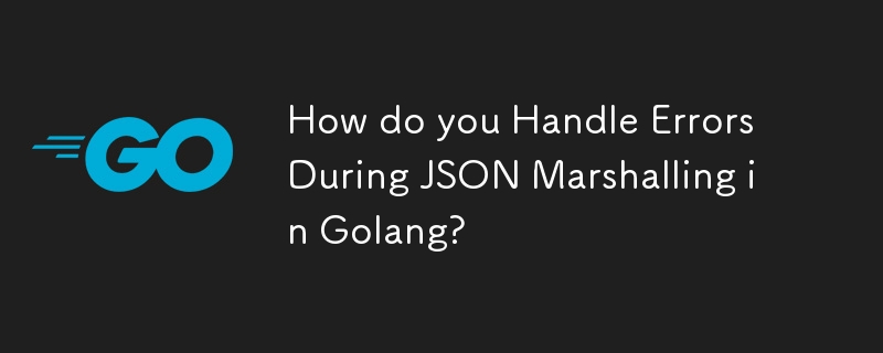 Golang에서 JSON 마샬링 중 오류를 어떻게 처리합니까?-Golang-php.cn