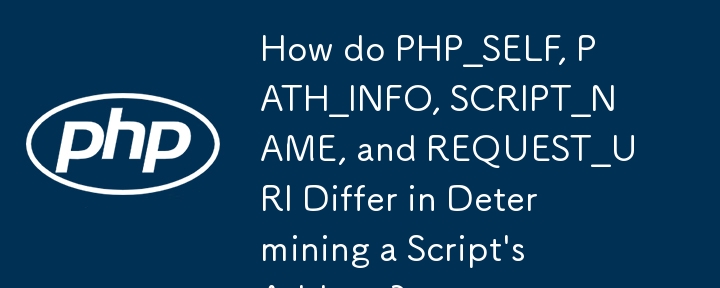 PHP_SELF、PATH_INFO、SCRIPT_NAME 和 REQUEST_URI 在確定腳本位址方面有何不同？-php教程-PHP中文網