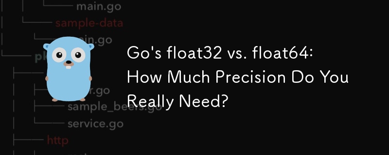 Go's float32 vs. float64: How Much Precision Do You Really Need?-Golang-php.cn