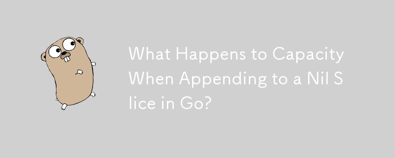 在 Go 中附加到 Nil 切片時，容量會發生什麼？-Golang-PHP中文網