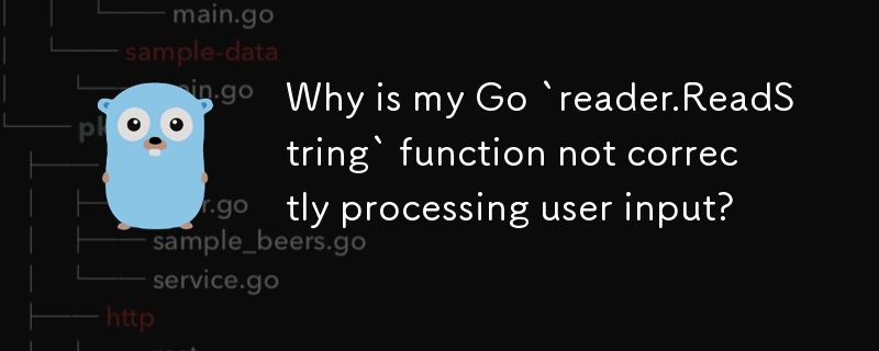 Why is my Go `reader.ReadString` function not correctly processing user input?-Golang-php.cn