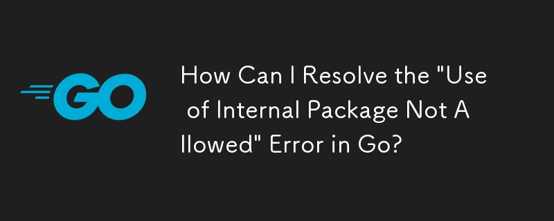 How Can I Resolve the 'Use of Internal Package Not Allowed' Error in Go?-Golang-php.cn