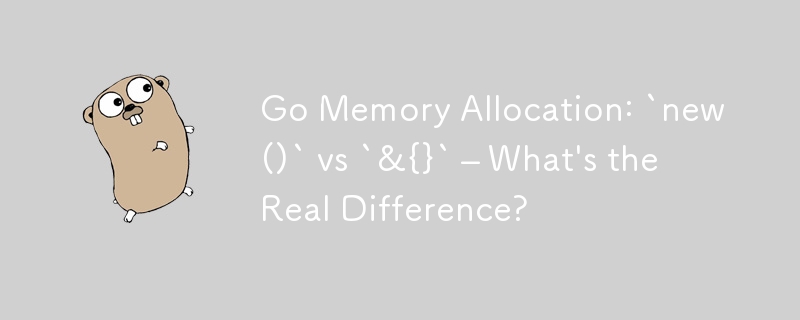 Go Memory Allocation: `new()` vs `&{}` – What's the Real Difference?-Golang-php.cn