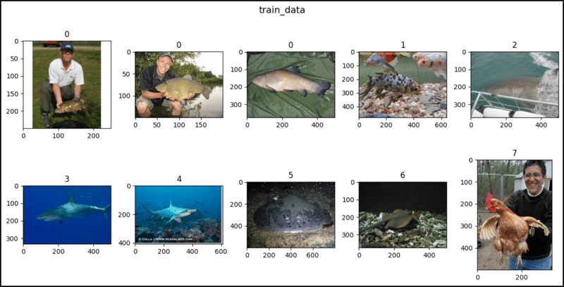 PyTorch 中的 ImageNet-Python教程-PHP中文网