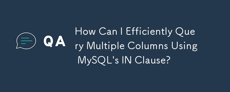 How Can I Efficiently Query Multiple Columns Using MySQL's IN Clause?-Mysql Tutorial-php.cn