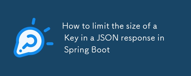 如何在 Spring Boot 中限制 JSON 響應中 Key 的大小-java教程-PHP中文網
