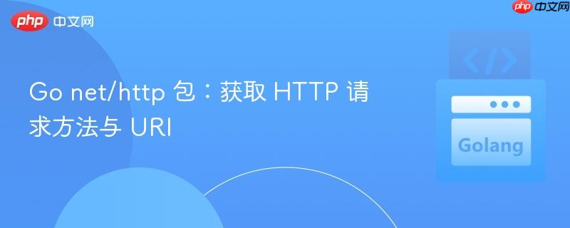Go net/http 包：获取 HTTP 请求方法与 URI-Golang-PHP中文网