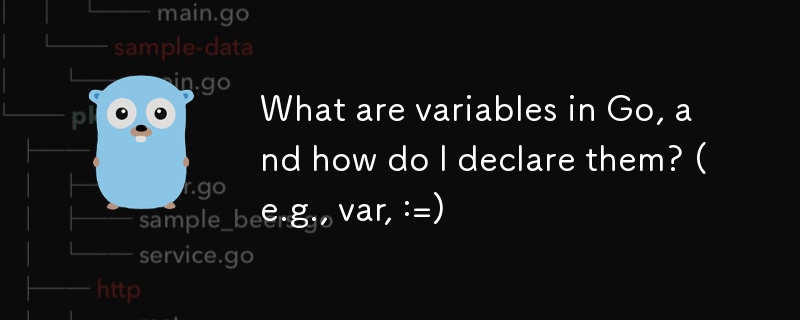 What are variables in Go, and how do I declare them? (e.g., var, :=)-Golang-php.cn