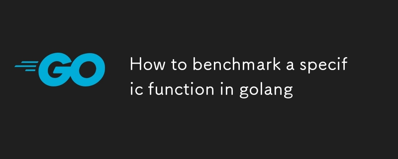How to benchmark a specific function in golang-Golang-php.cn
