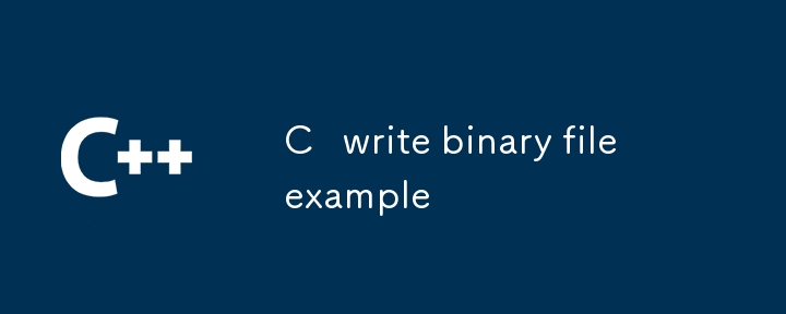 C write binary file example-C++-php.cn