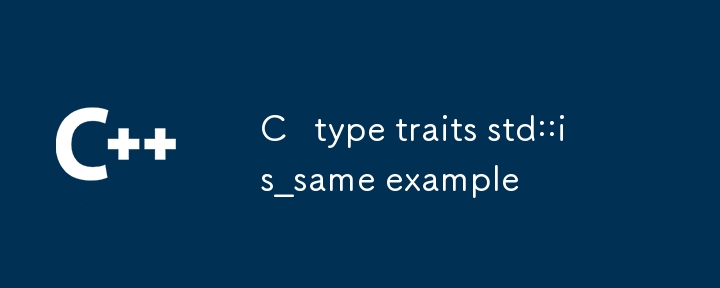 C type traits std::is_same example-C++-php.cn